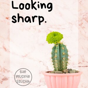 Boho Classroom Cactus Posters - Cactus Decor, Sign, Classroom Printable ...