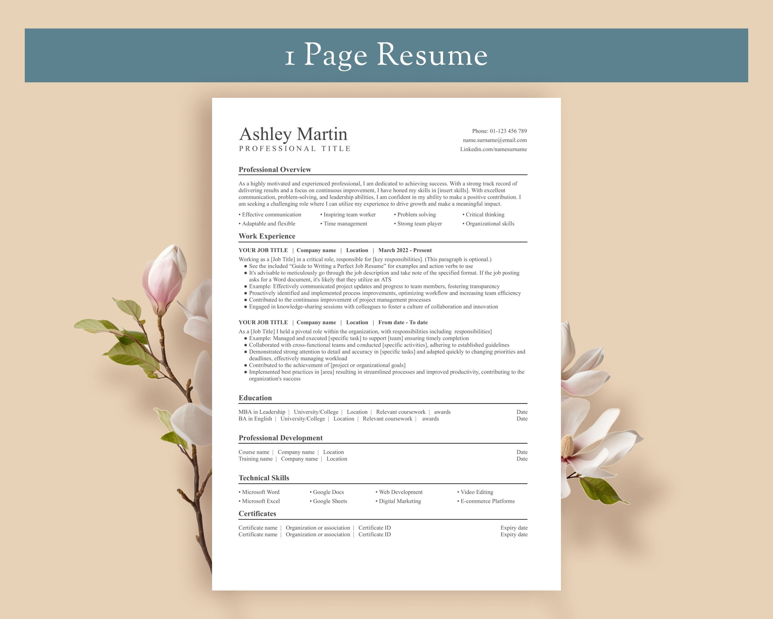 Best Stylish 2-column Resume Template. Modern CV for Word, Google Docs ...