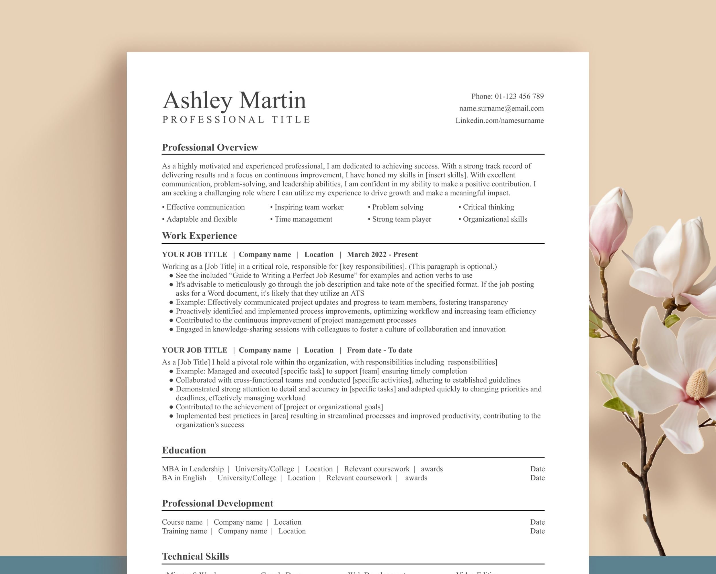Best Stylish 2-column Resume Template. Modern CV for Word, Google Docs ...