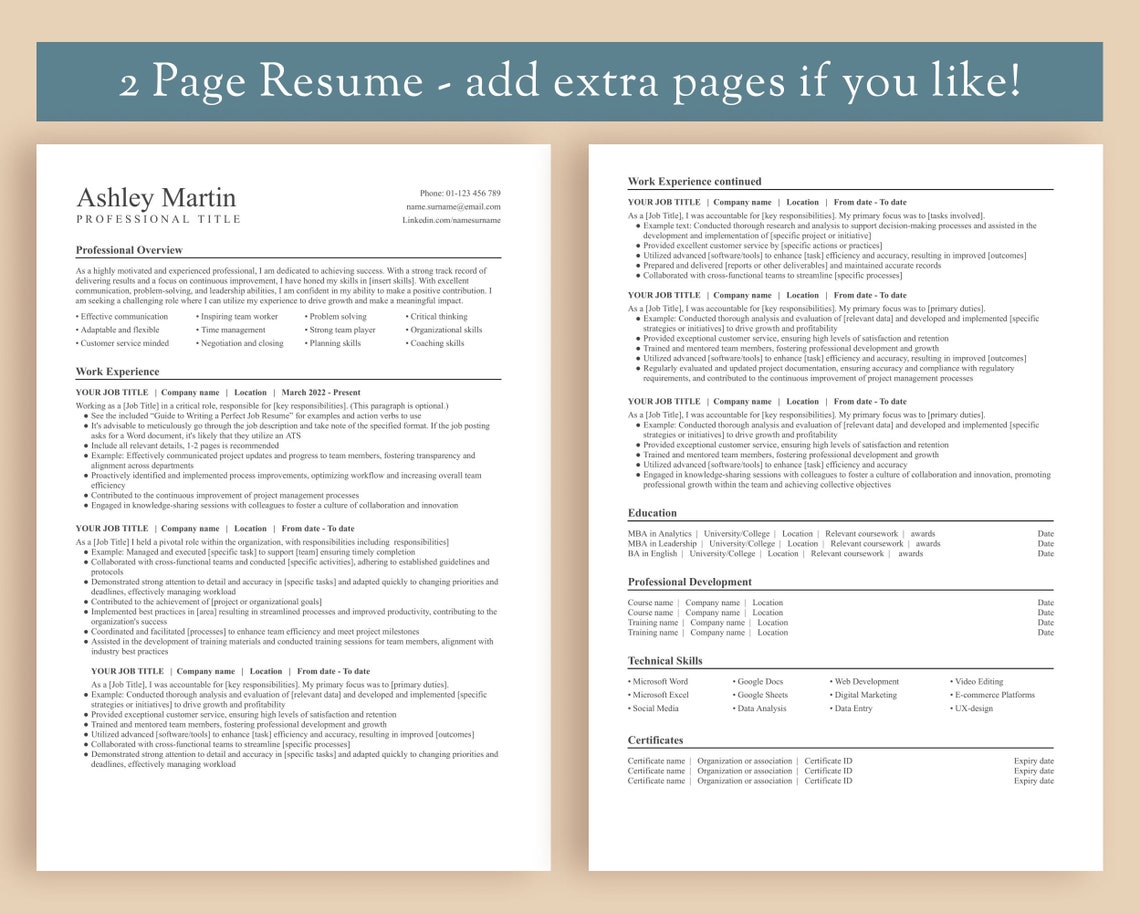 Best Stylish 2-column Resume Template. Modern CV for Word, Google Docs ...