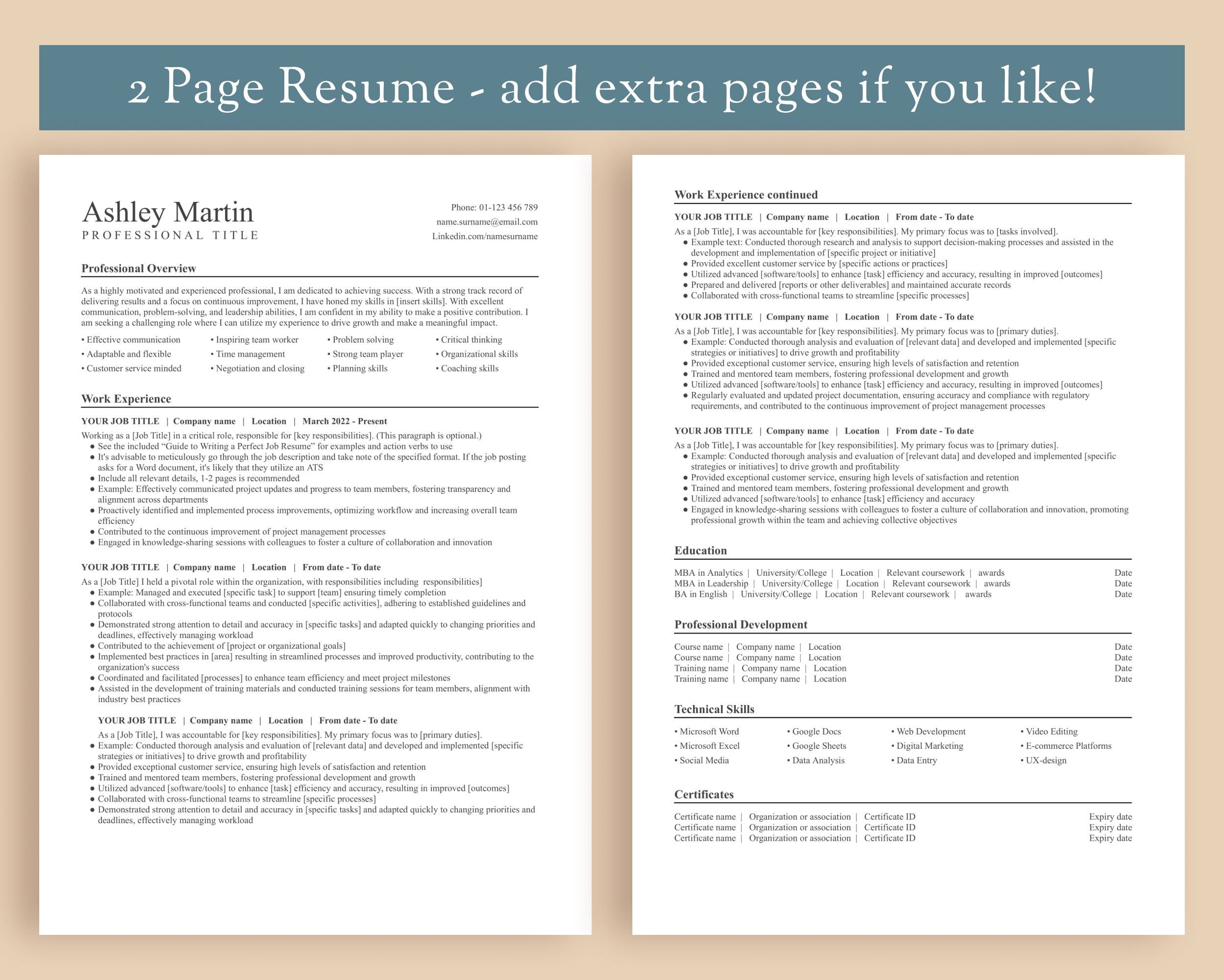 Best Stylish 2-column Resume Template. Modern CV for Word, Google Docs ...
