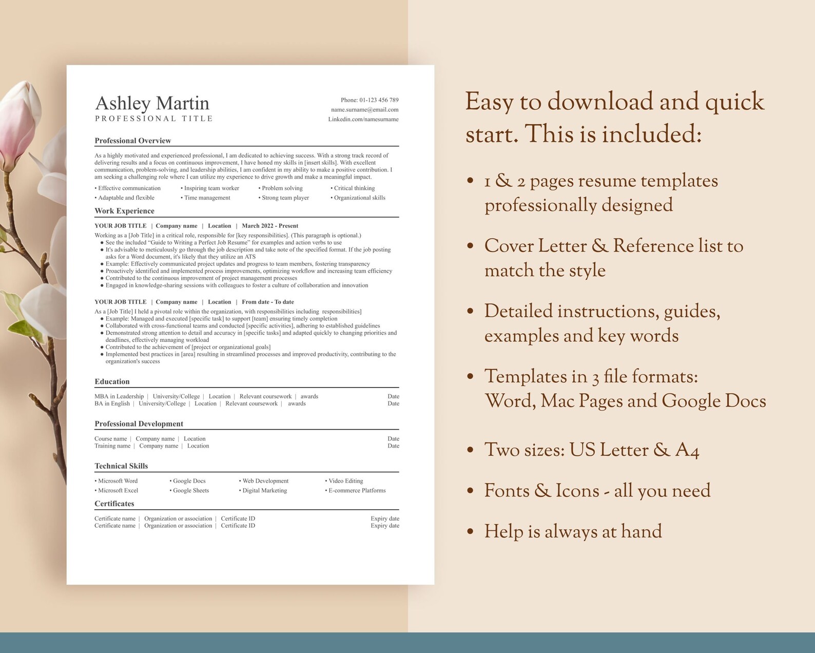 Best Stylish 2-column Resume Template. Modern CV for Word, Google Docs ...