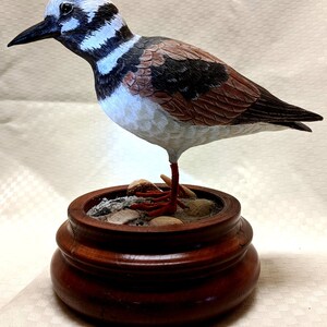 Detailed Wood Sculpture of a Ruddy Turnstone. Detailed Base Simulates ...