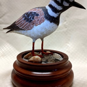 Detailed Wood Sculpture of a Ruddy Turnstone. Detailed Base Simulates ...