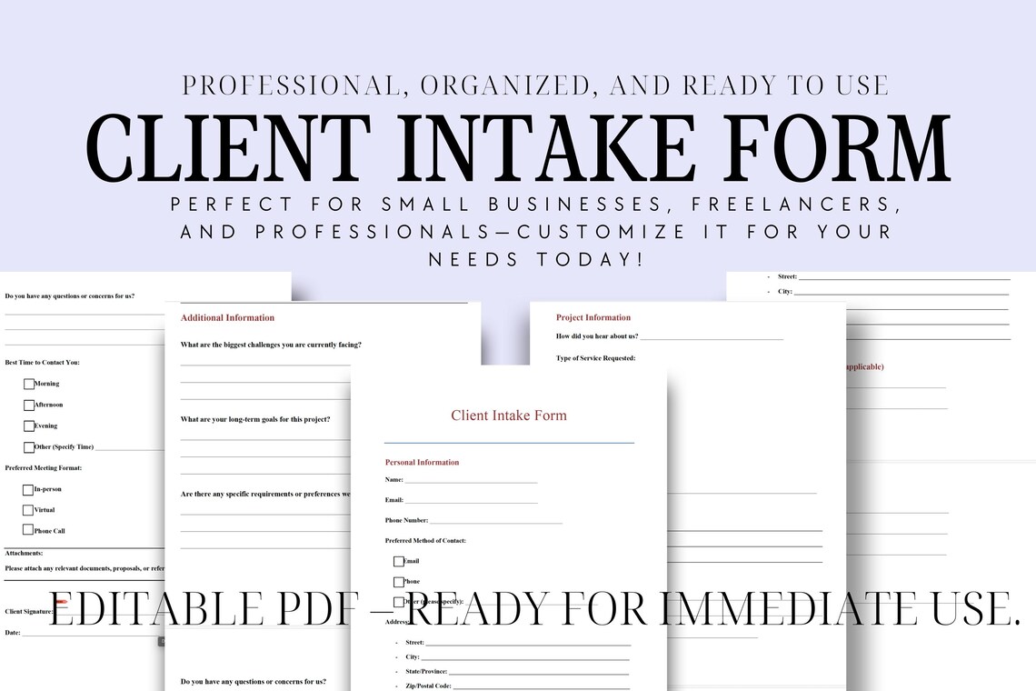 Editable Client Intake Form for Small Business Owners - Etsy