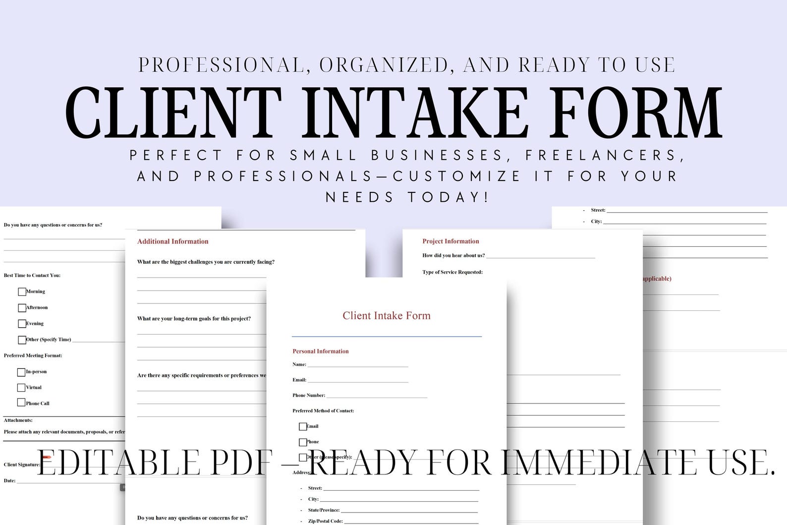 Customizable Client Intake Form for Freelancers and Consultants - Etsy