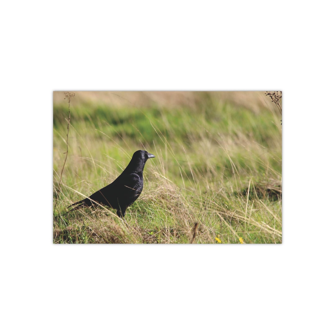 Rook on Watch Poster - Etsy