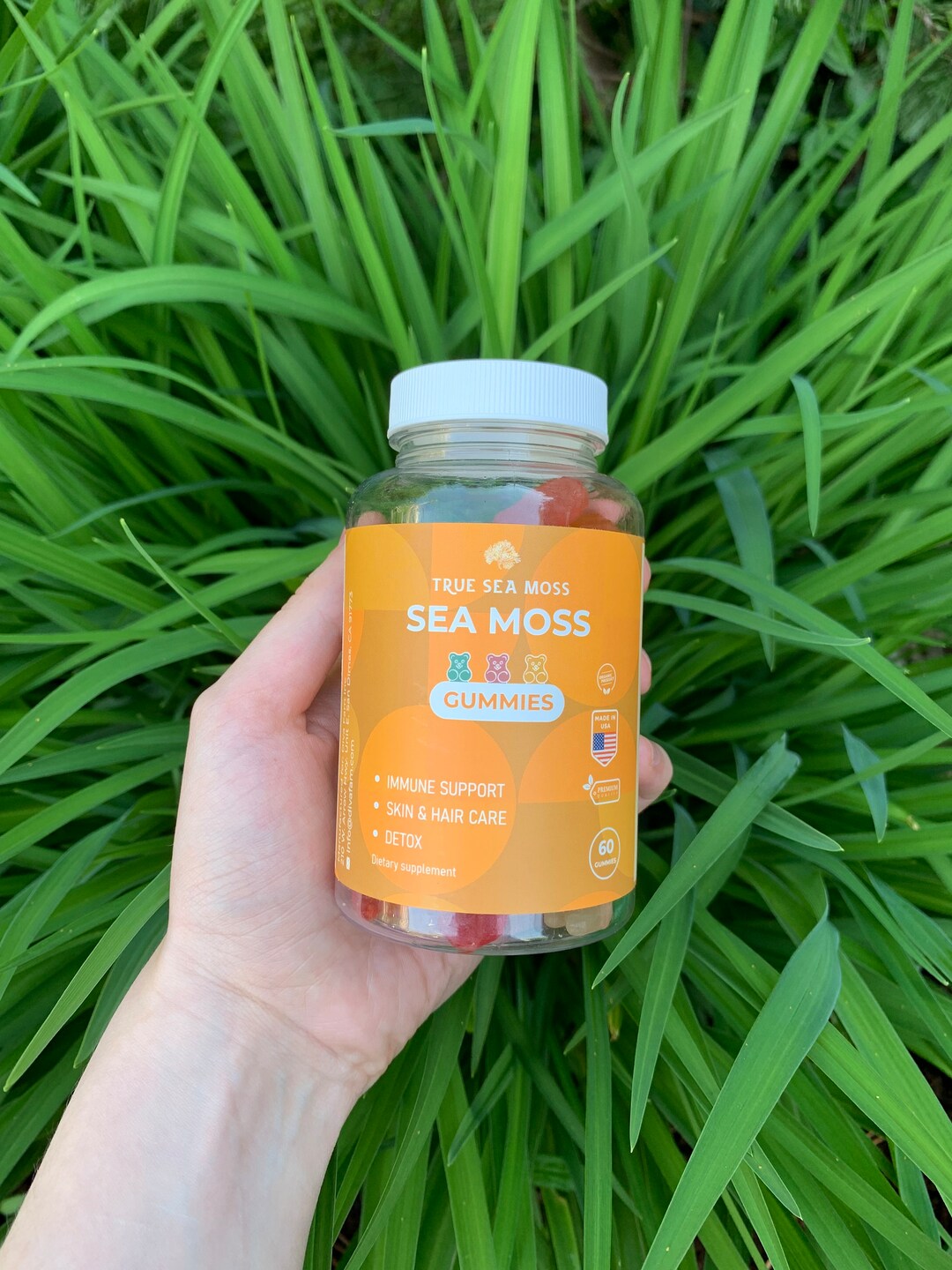 Sea Moss Original Gummies - Handmade Sea Moss Gummies - Etsy