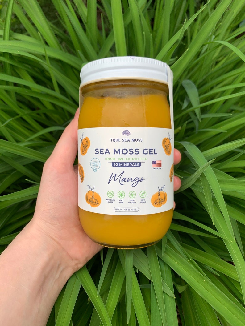 Mango Sea Moss Gel - Handmade Sea Moss - Etsy