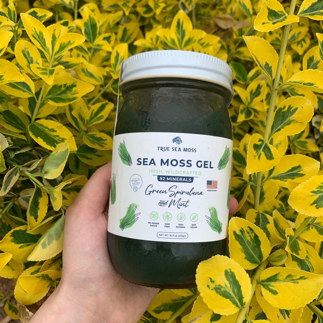Green Spirulina Sea Moss Gel - Handmade Sea Moss Gel - Etsy