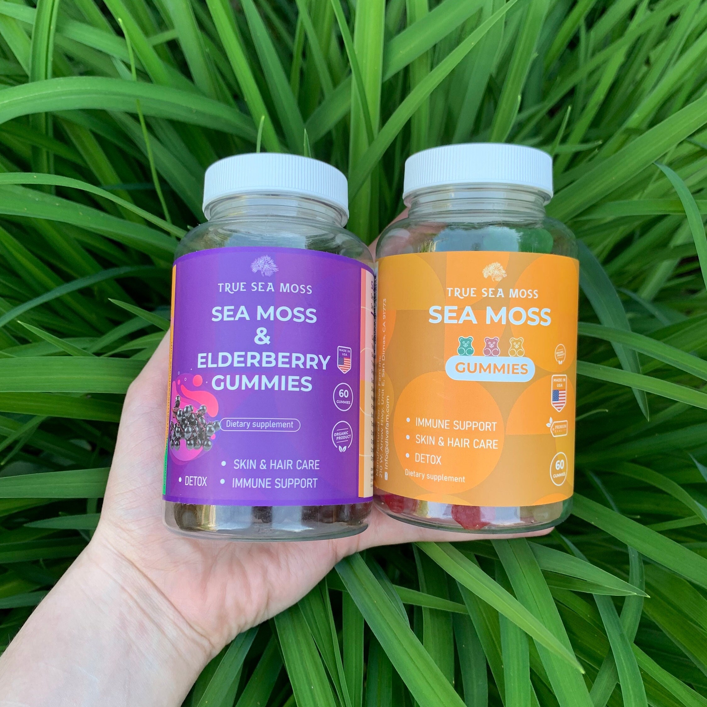 Sea Moss Original Gummies - Handmade Sea Moss Gummies - Etsy