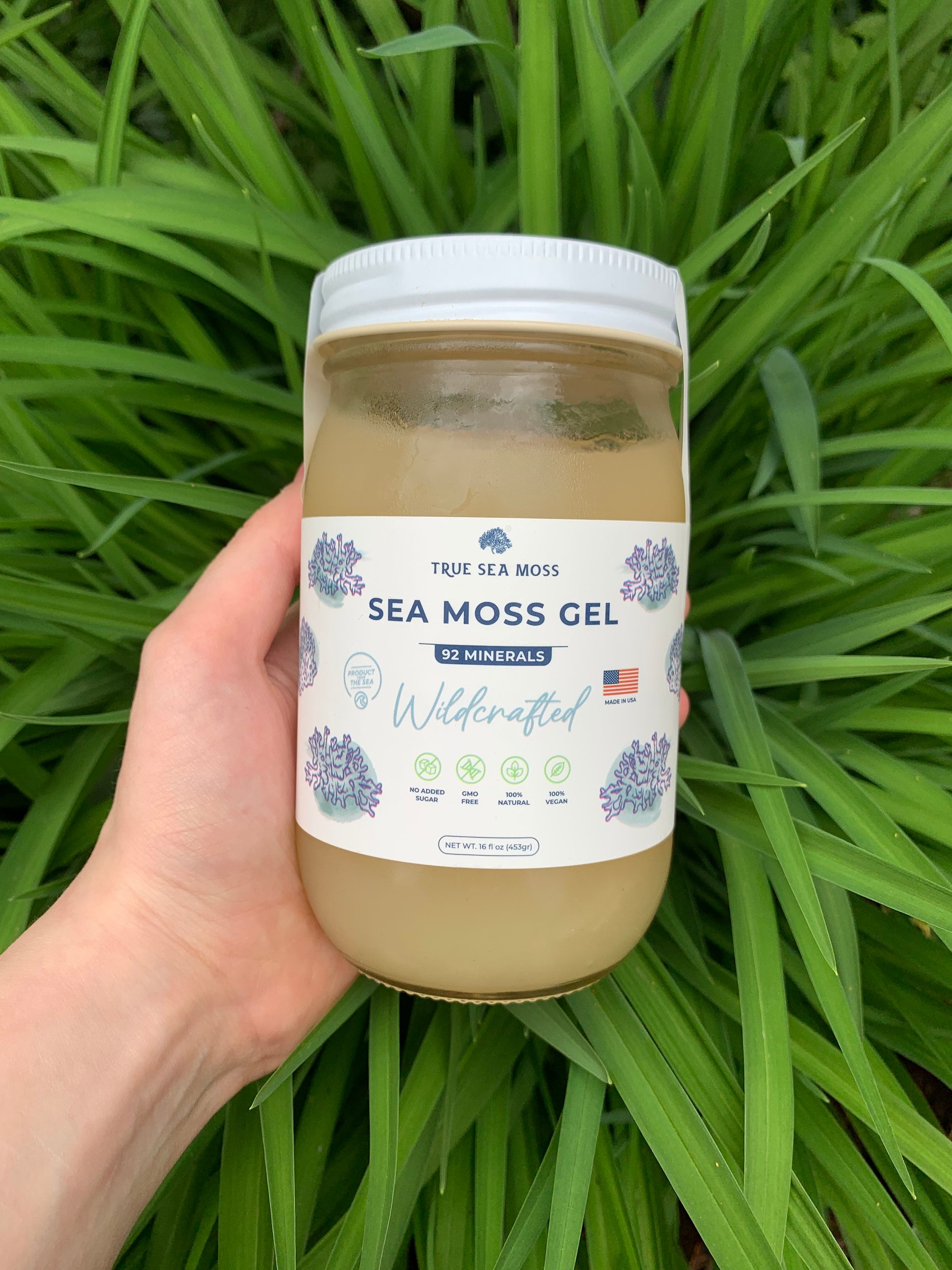 Wildcrafted Sea Moss Gel - Handmade Sea Moss Gel - Etsy