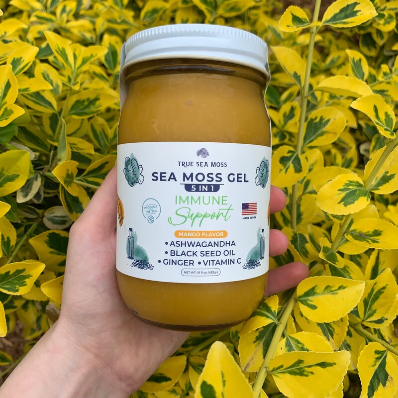 Wild Crafted Irish Moss - Etsy