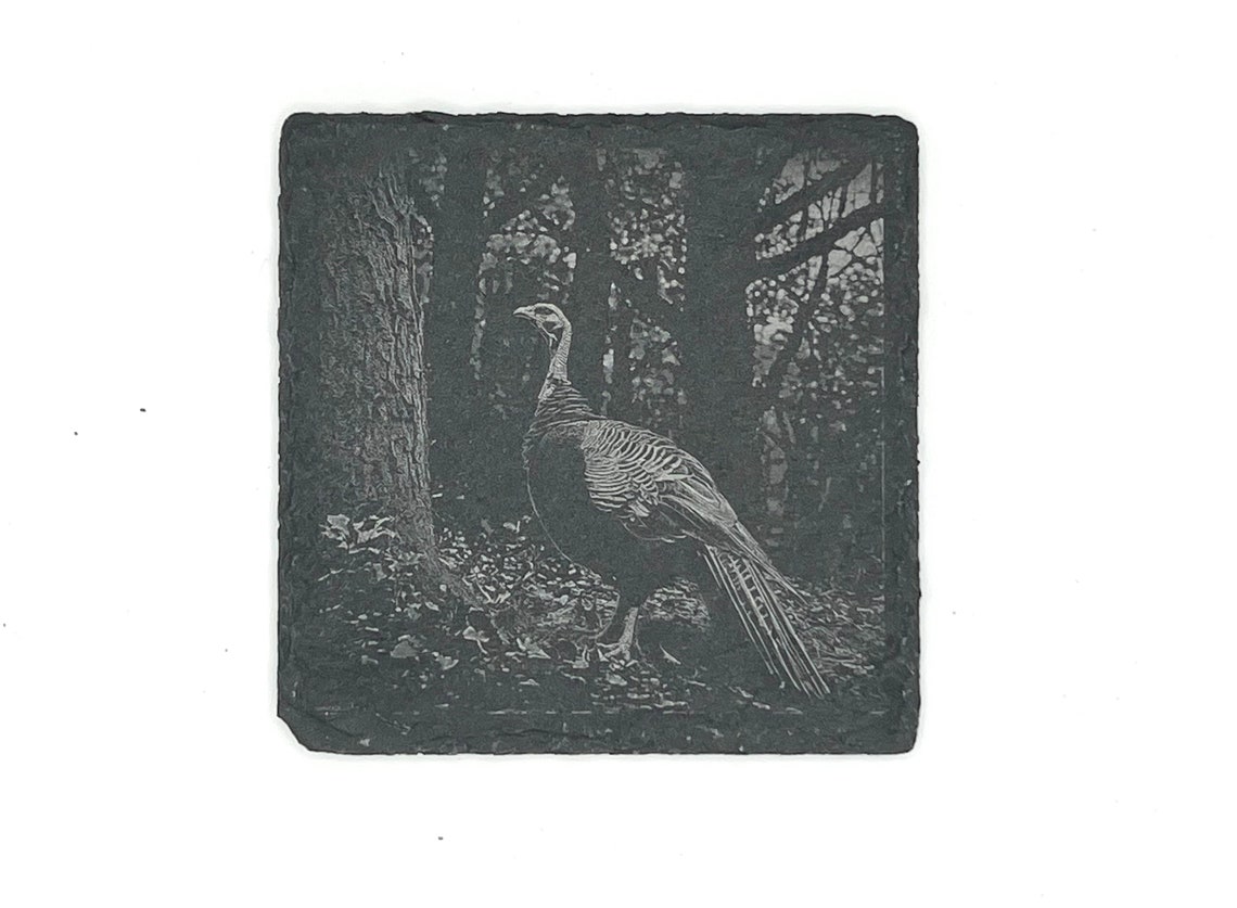 Wildlife Slate Coasters Set - Cabin Home Decor: Duck, Bear, Turkey, and ...