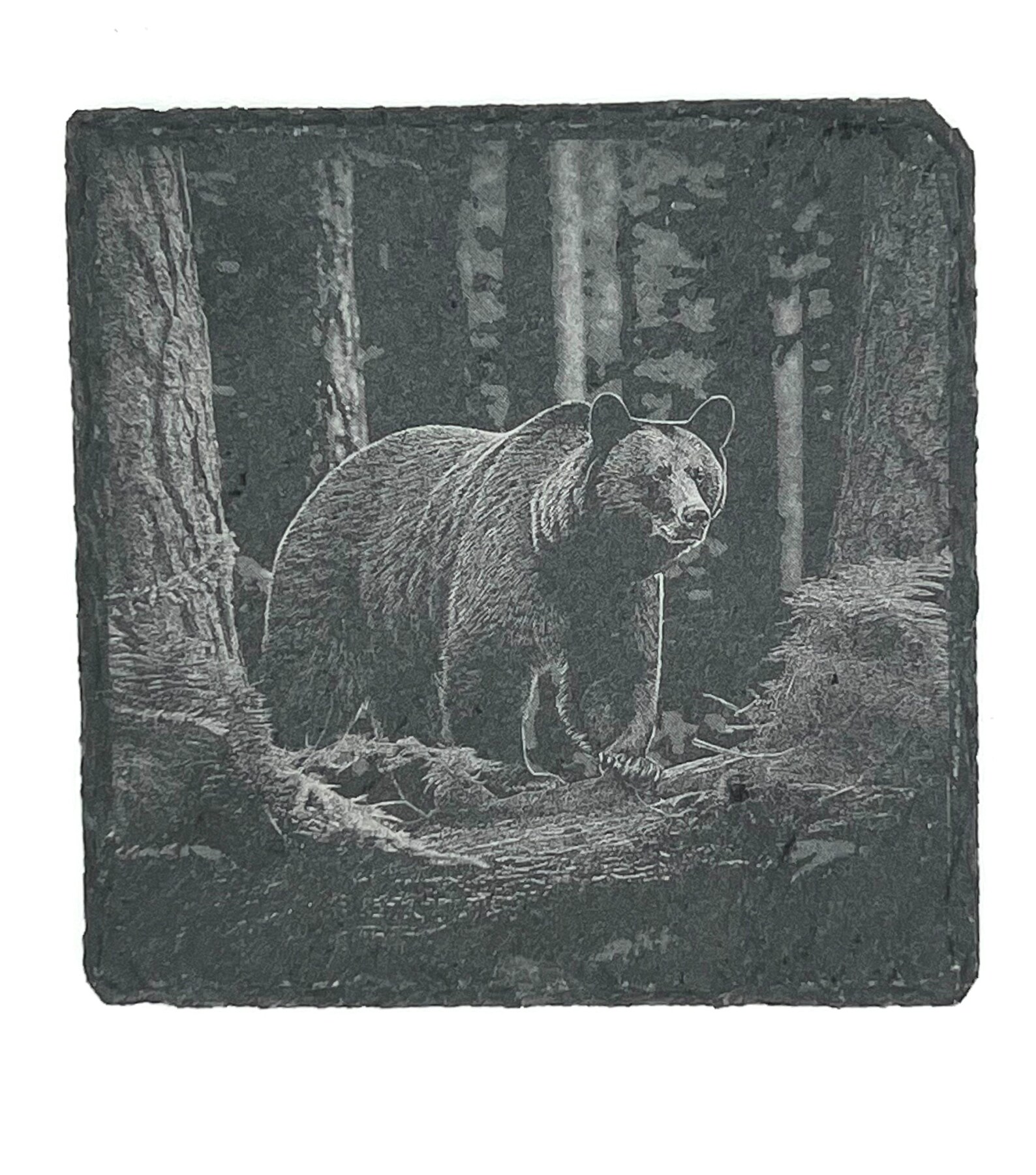 Wildlife Slate Coasters Set - Cabin Home Decor: Duck, Bear, Turkey, and ...