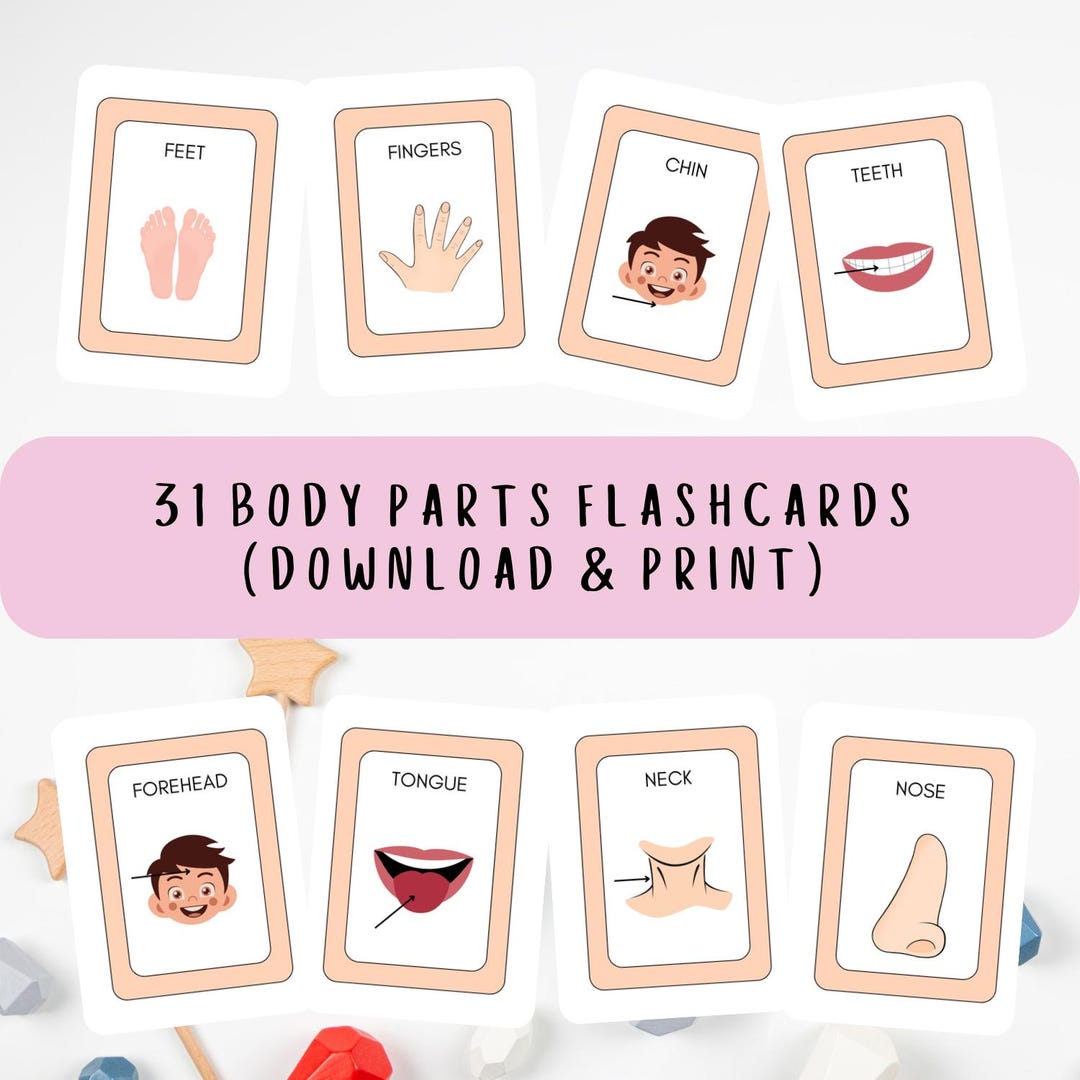 31 Body Parts Flashcards | Classroom Montessori Flashcards | Pre-school ...