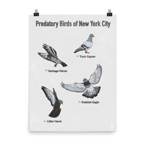 Predatory Birds of New York City Print - Etsy