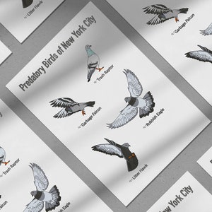 Predatory Birds of New York City Print - Etsy