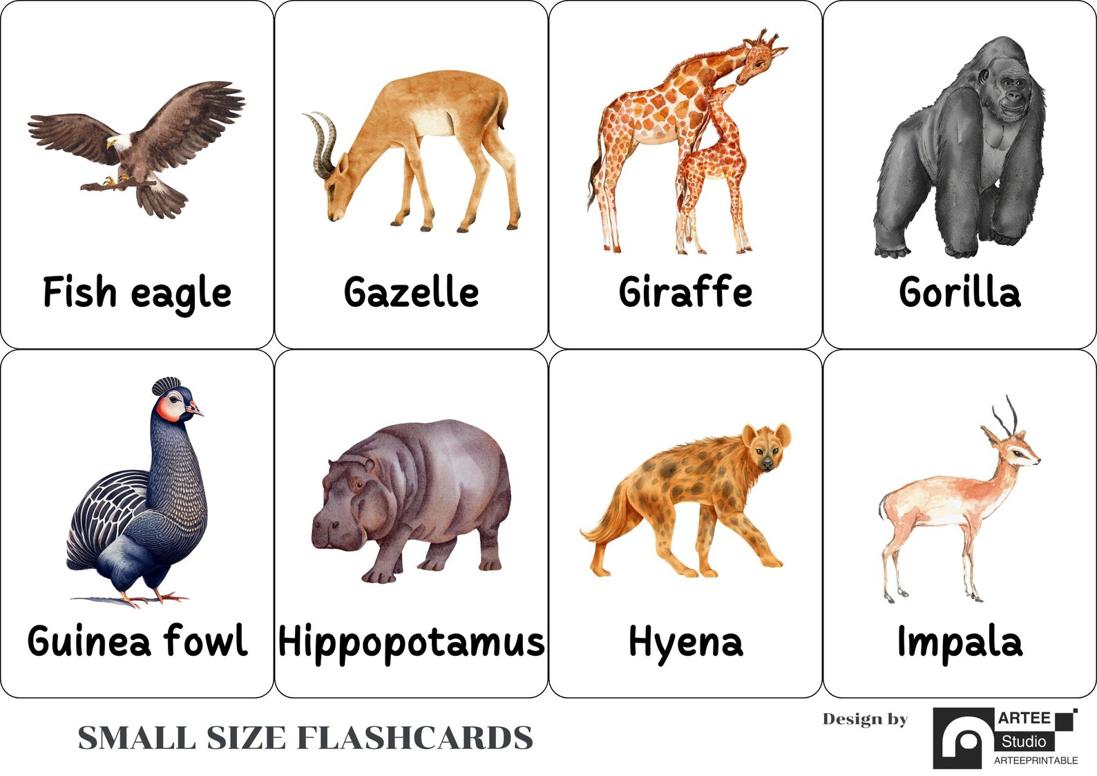 Safari Animals Cards 28 Cards Flash Cards Nomenclature Flashcards PDF ...