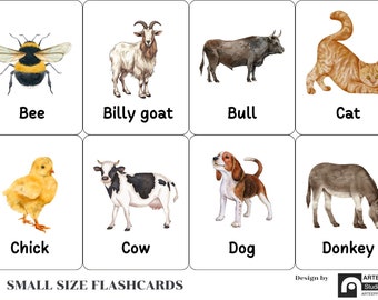 FARM ANIMALS 24 Montessori Cards Flash Cards Nomenclature Flashcards ...