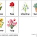 Flowers Cards 38 Cards Flash Cards Nomenclature Flashcards PDF ...