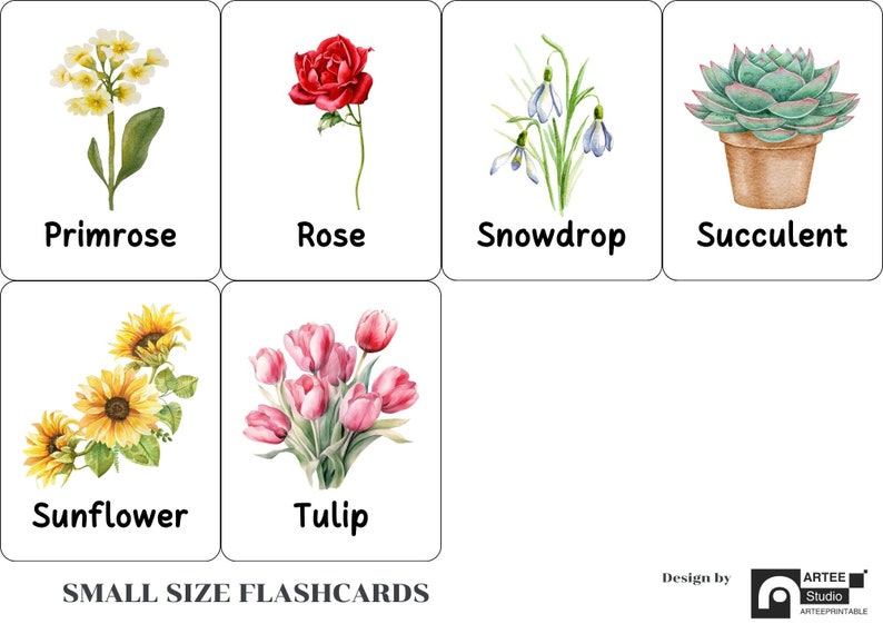 Flowers Cards 38 Cards Flash Cards Nomenclature Flashcards PDF ...