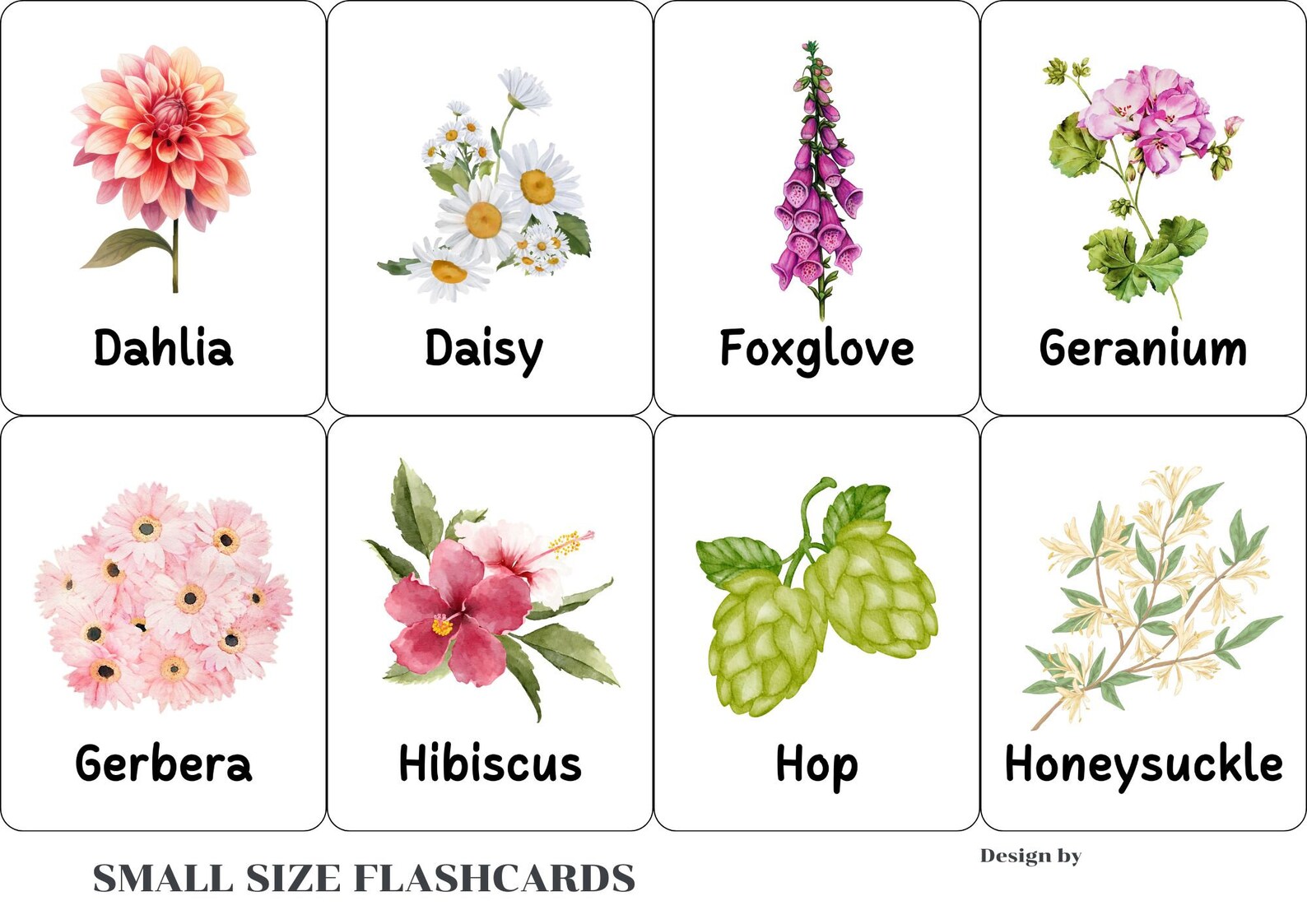 Flowers Cards 38 Cards Flash Cards Nomenclature Flashcards PDF ...