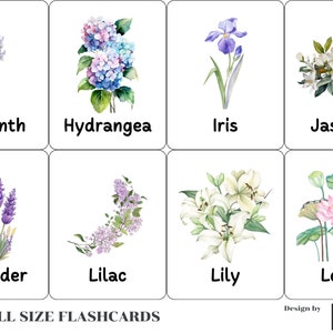 Flowers Cards 38 Cards Flash Cards Nomenclature Flashcards PDF ...