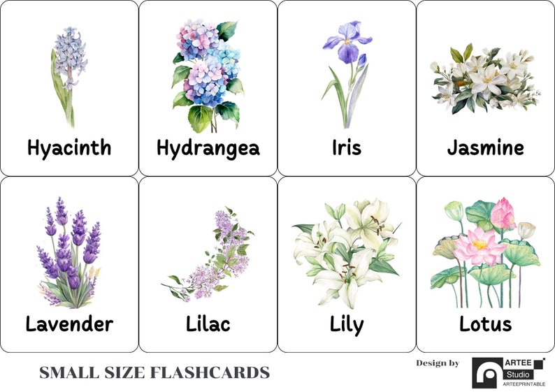 Flowers Cards 38 Cards Flash Cards Nomenclature Flashcards PDF ...