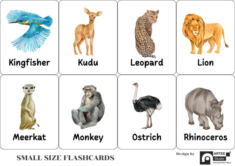 Safari Animals Cards 28 Cards Flash Cards Nomenclature Flashcards PDF ...