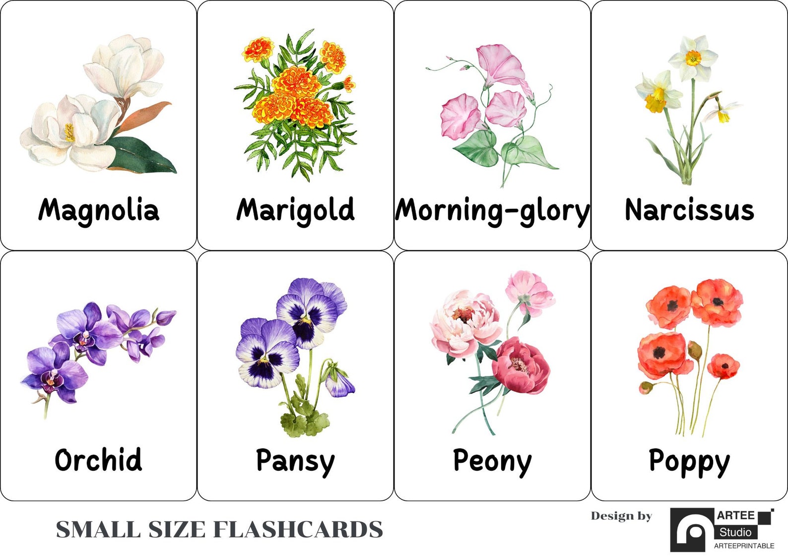 Flowers Cards 38 Cards Flash Cards Nomenclature Flashcards PDF ...