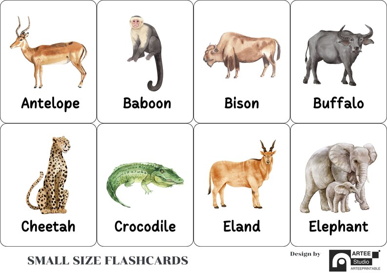 Safari Animals Cards 28 Cards Flash Cards Nomenclature Flashcards PDF ...