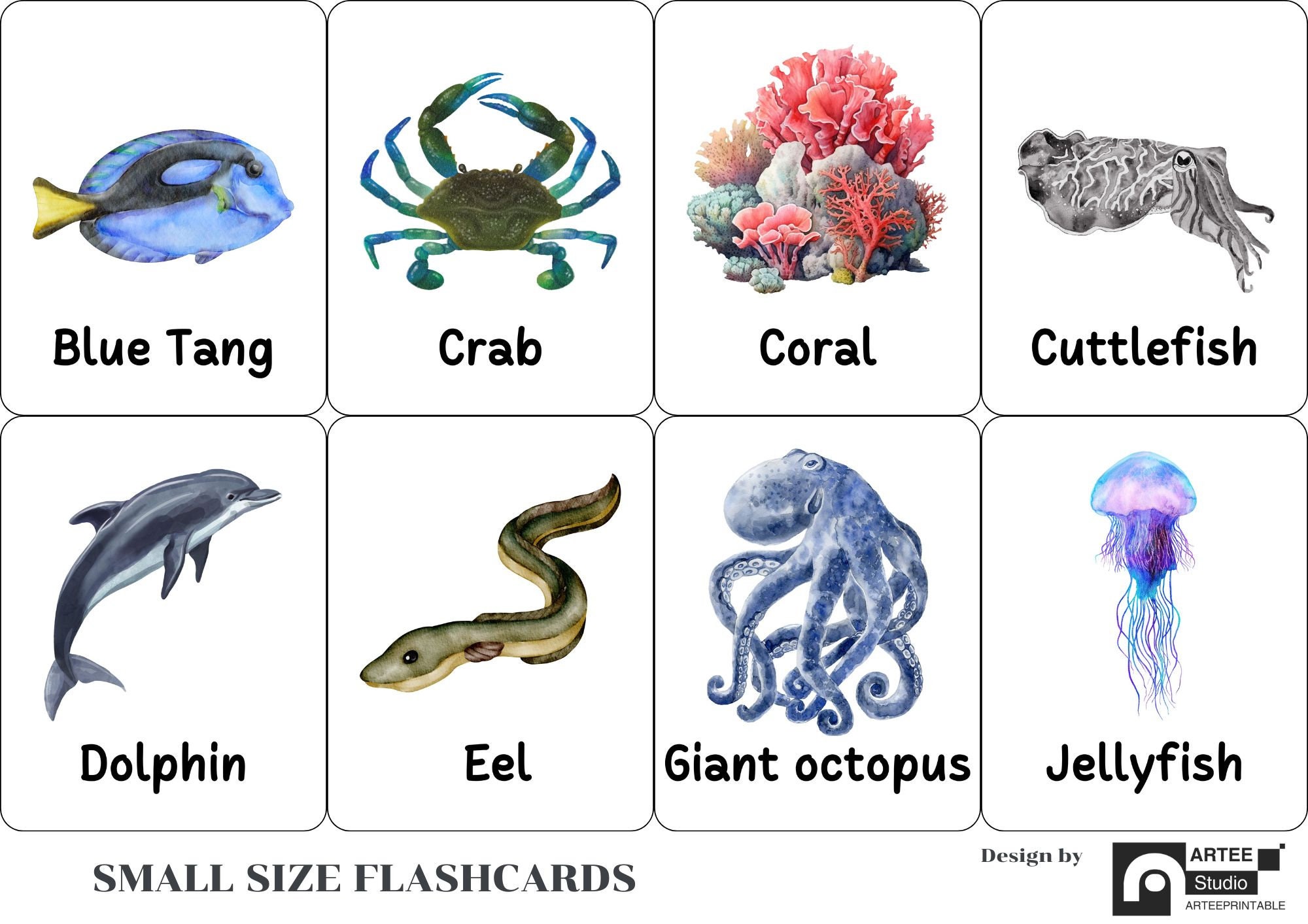 Ocean Animals Cards 24 Cards Flash Cards Nomenclature Flashcards PDF ...