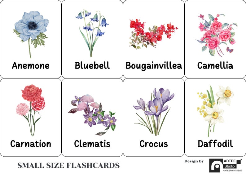 Flowers Cards 38 Cards Flash Cards Nomenclature Flashcards PDF ...