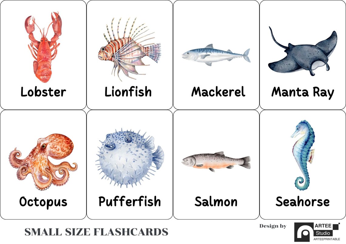 Ocean Animals Cards 24 Cards Flash Cards Nomenclature Flashcards PDF ...