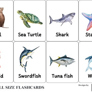 Ocean Animals Cards 24 Cards Flash Cards Nomenclature Flashcards PDF ...