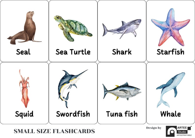Ocean Animals Cards 24 Cards Flash Cards Nomenclature Flashcards PDF ...