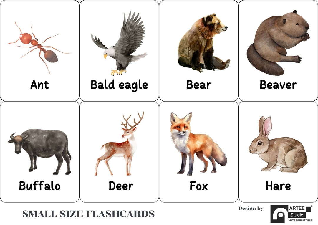 Forest Animals Cards 20 Cards Flash Cards Nomenclature Flashcards PDF ...