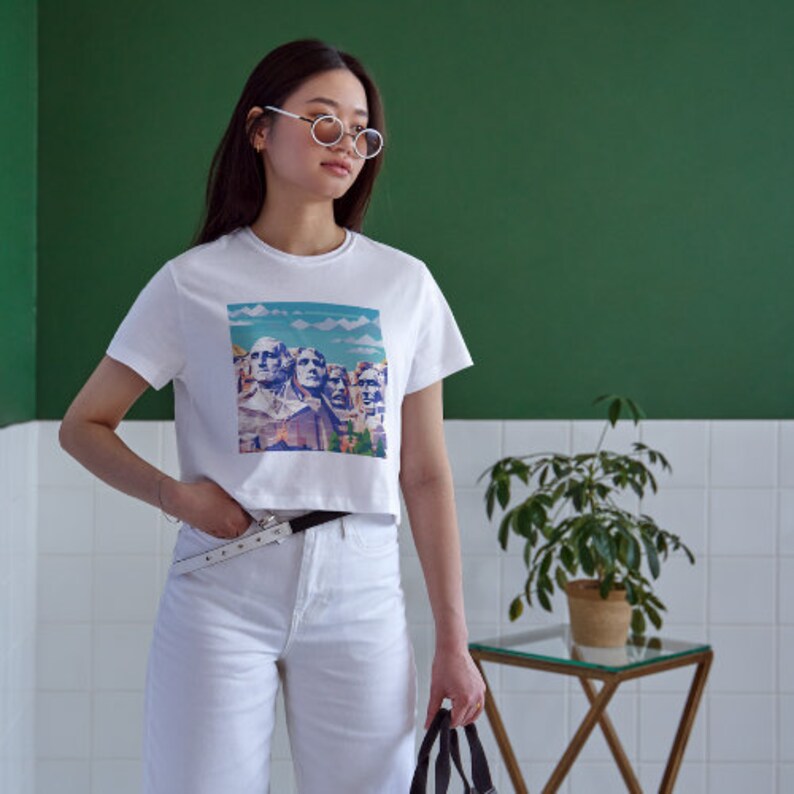 DIGITAL Mount Rushmore Flat Poster Design Illustration Artwork Download - Etsy