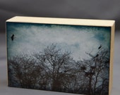 Fine Art Photography by Ketzelphotography on Etsy