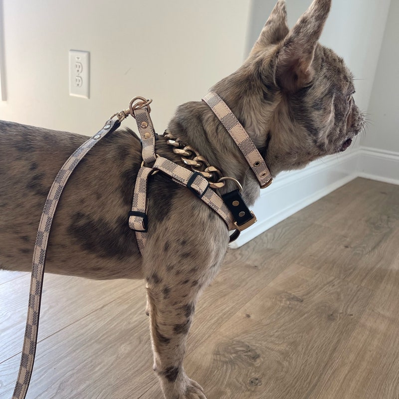 Designer Dog Harness - Etsy