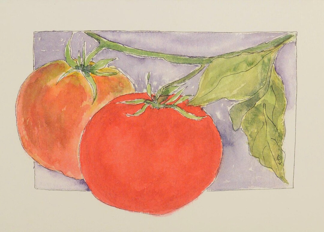 Water Color Note Cards With Blank Inset/folded Stationary - Tomatoes ...