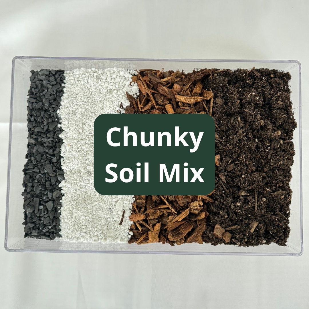 Homemade Chunky Soil Mix | Monsteras, Aroids, Tropicals - Etsy