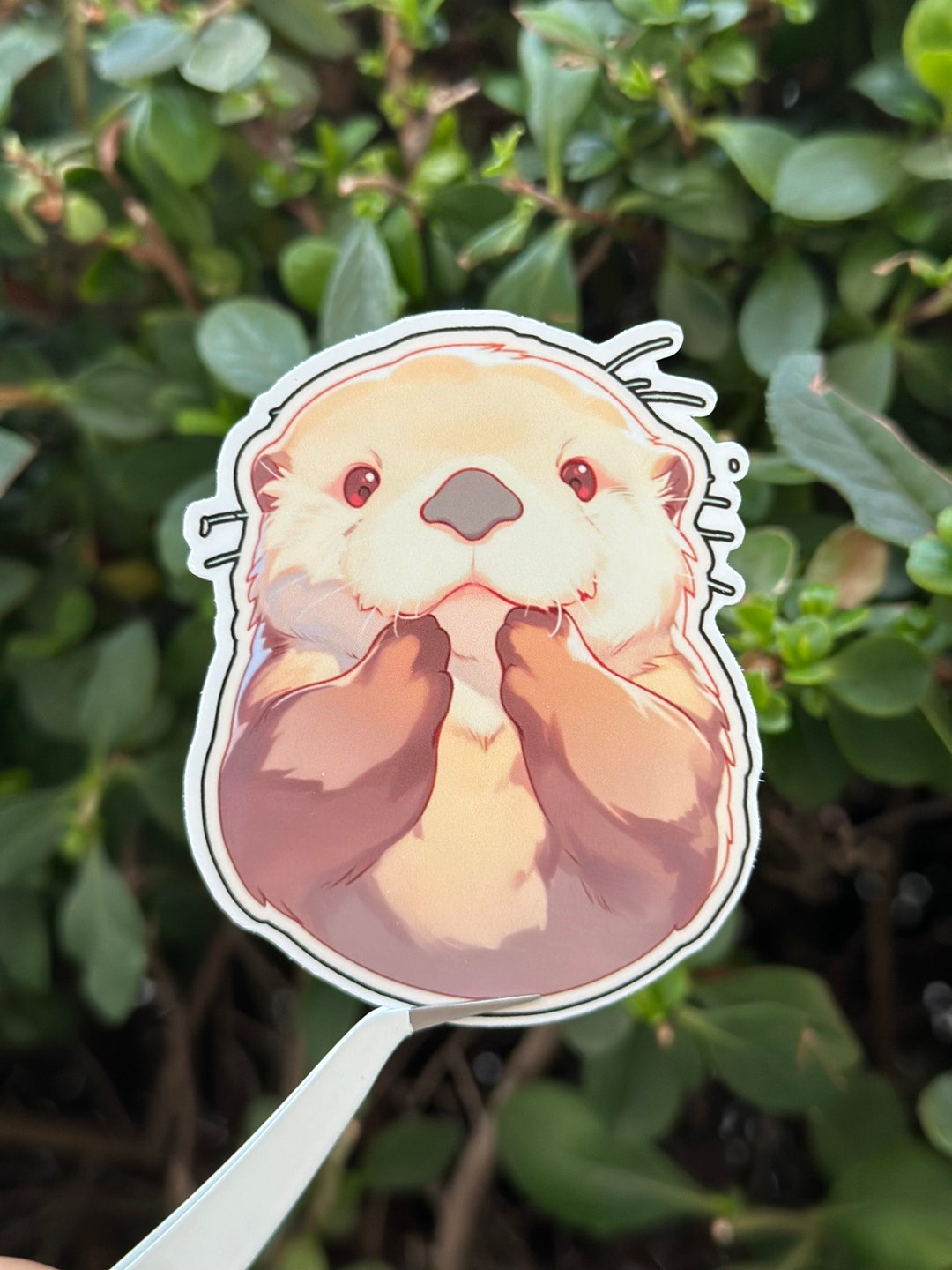 Sea Otter Waterproof Sticker, Glossy or Holographic Vinyl - Etsy