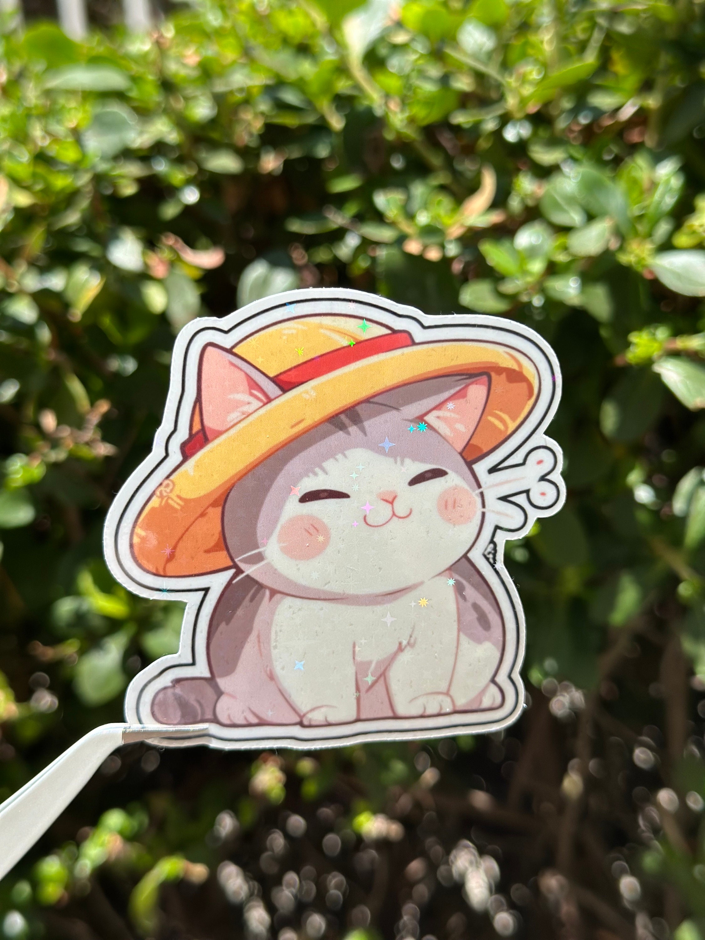 Cat in Luffy Hat Sticker, One Piece Fan Art Decal, Waterproof Sticker ...