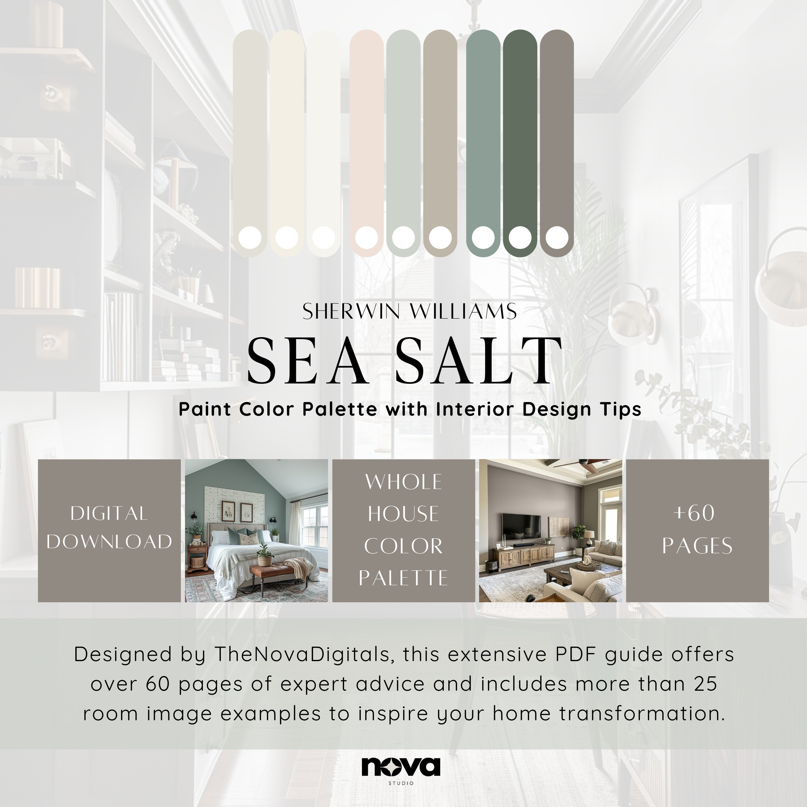 Sherwin Williams Sea Salt Home Paint Scheme, Whole House Color Palette ...