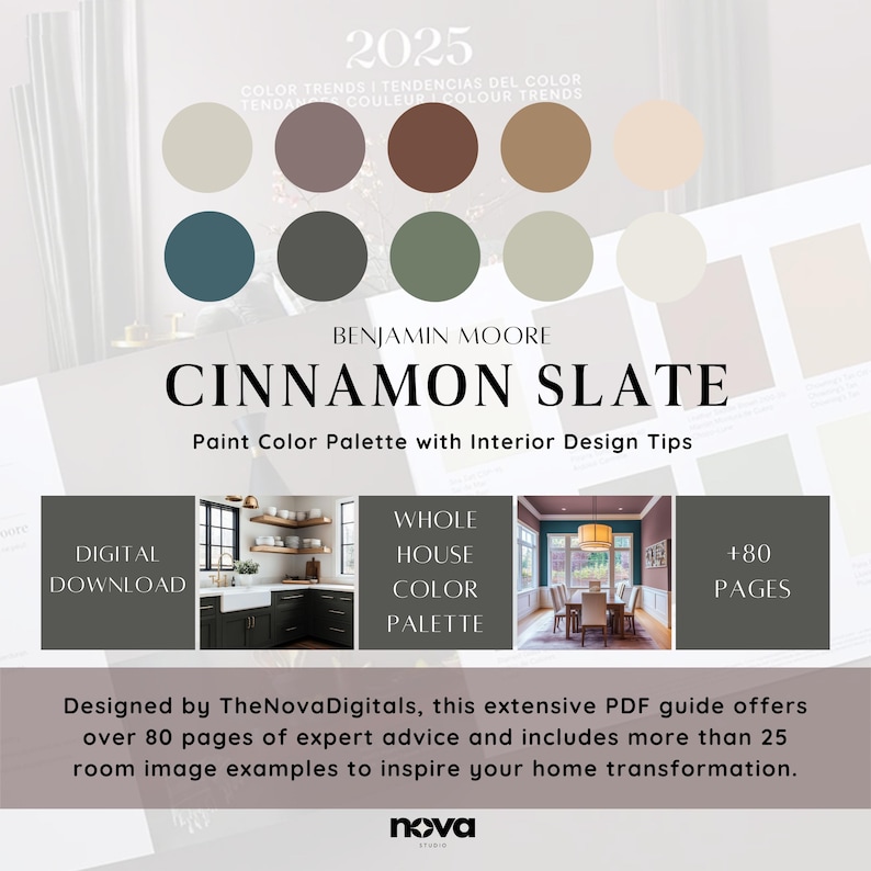 Color of the Year 2025 CINNAMON SLATE Benjamin Moore Home Color Palette ...