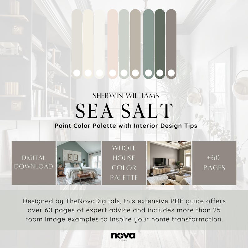 SEA SALT Sherwin Williams Color Palette Whole House Paint Palette ...