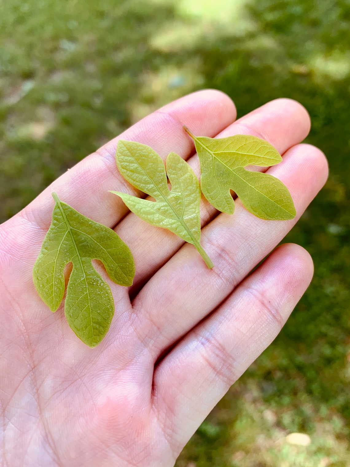 Simple Leaf Pendant Necklace Sterling Silver Handmade | Etsy