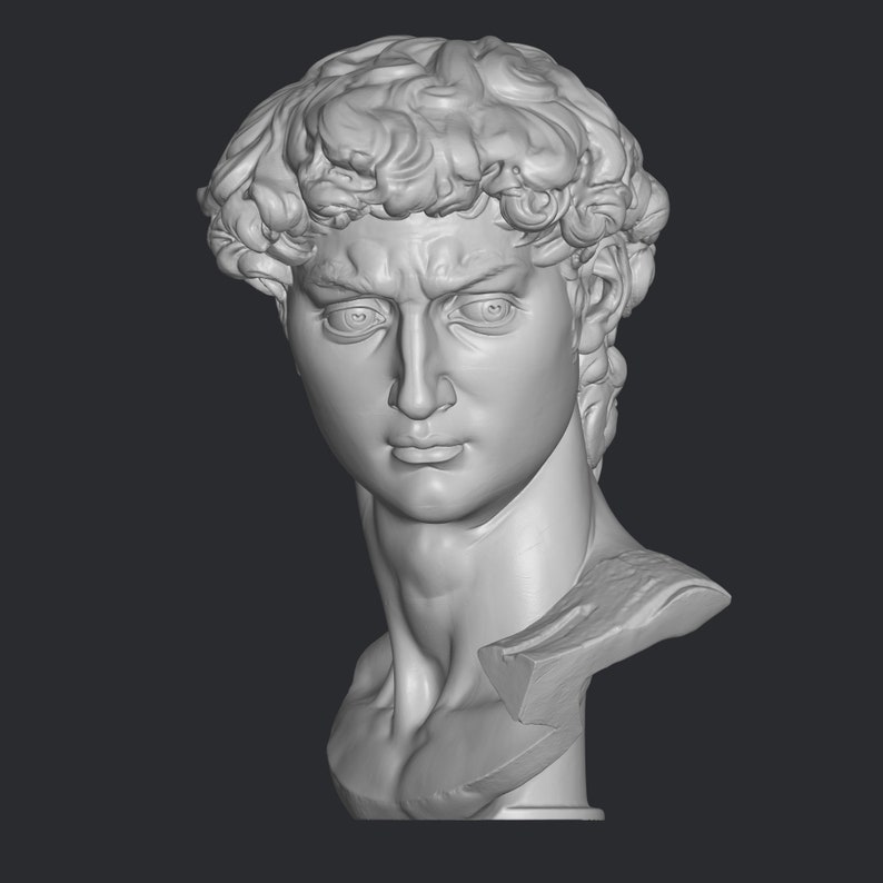 Head of Michelangelo's David Stl File 3d Printing, 3d Print File ...